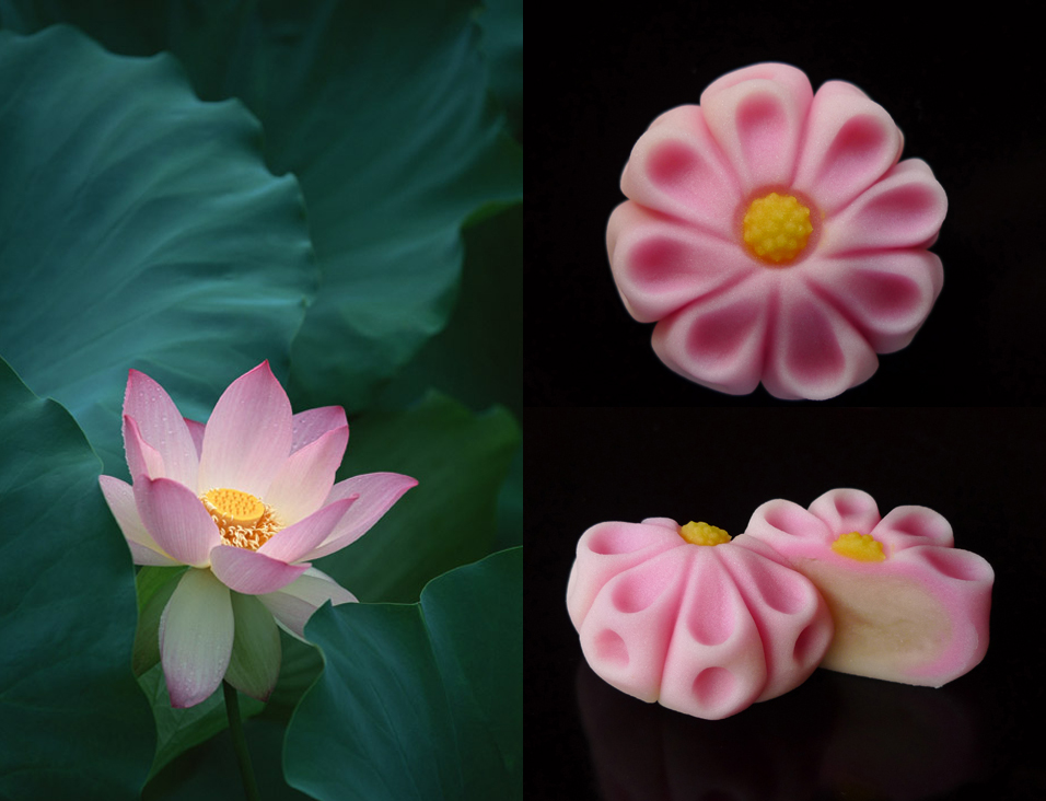 Fun Link Friday: Wagashi Designs from Nature | What can I do with a B.A ...